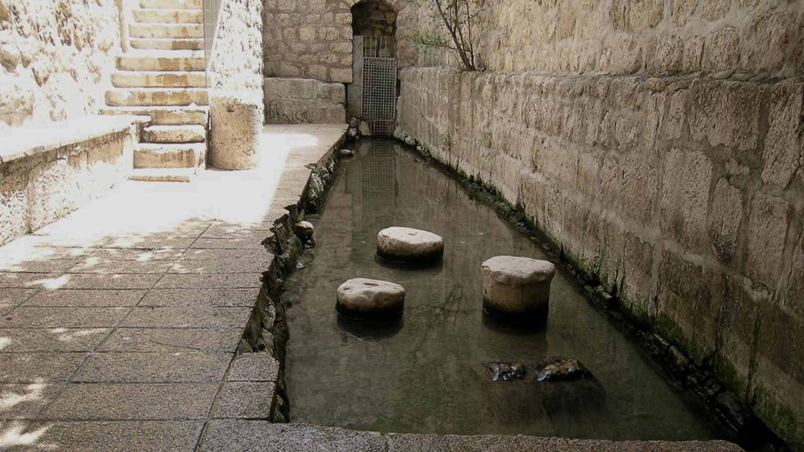 Desentierran escaleras del estanque de Siloé, donde Jesús caminó y sanó al ciego